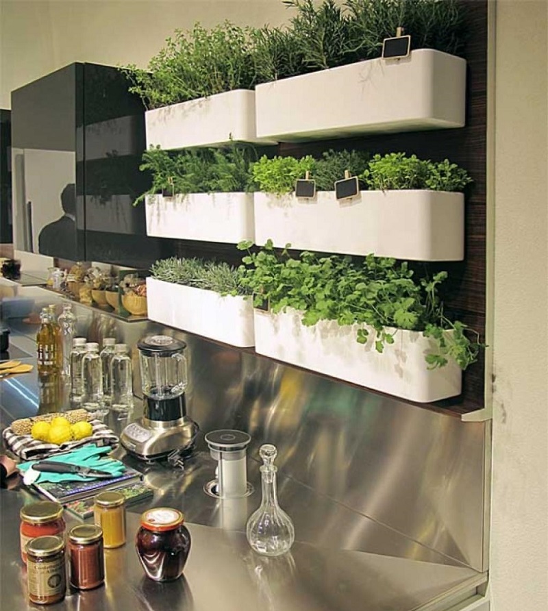 fines herbes boites à fleurs - Maison jardin astuce